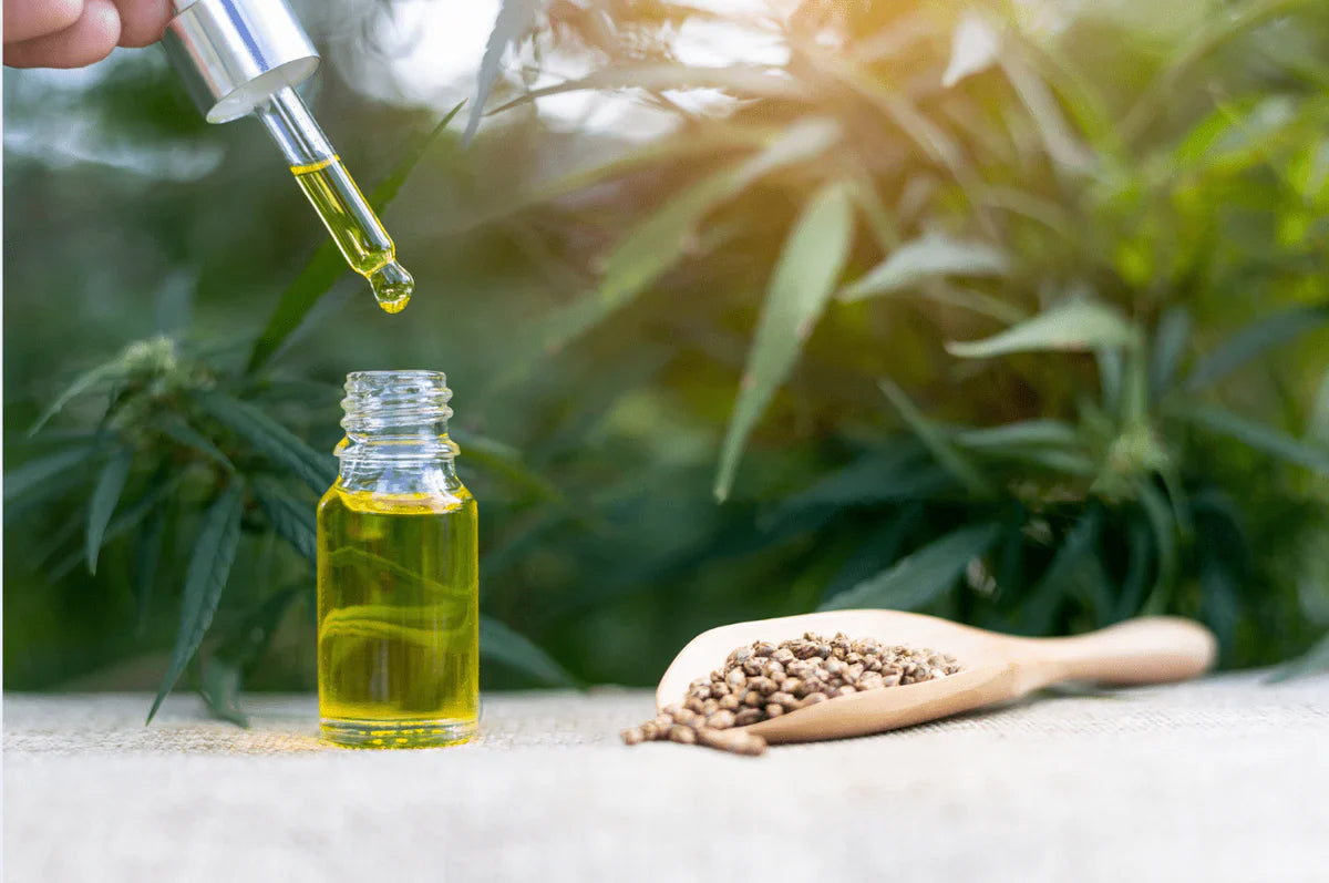 Integrating Hemp Oil into Your Holistic Health Routine – Natural ...